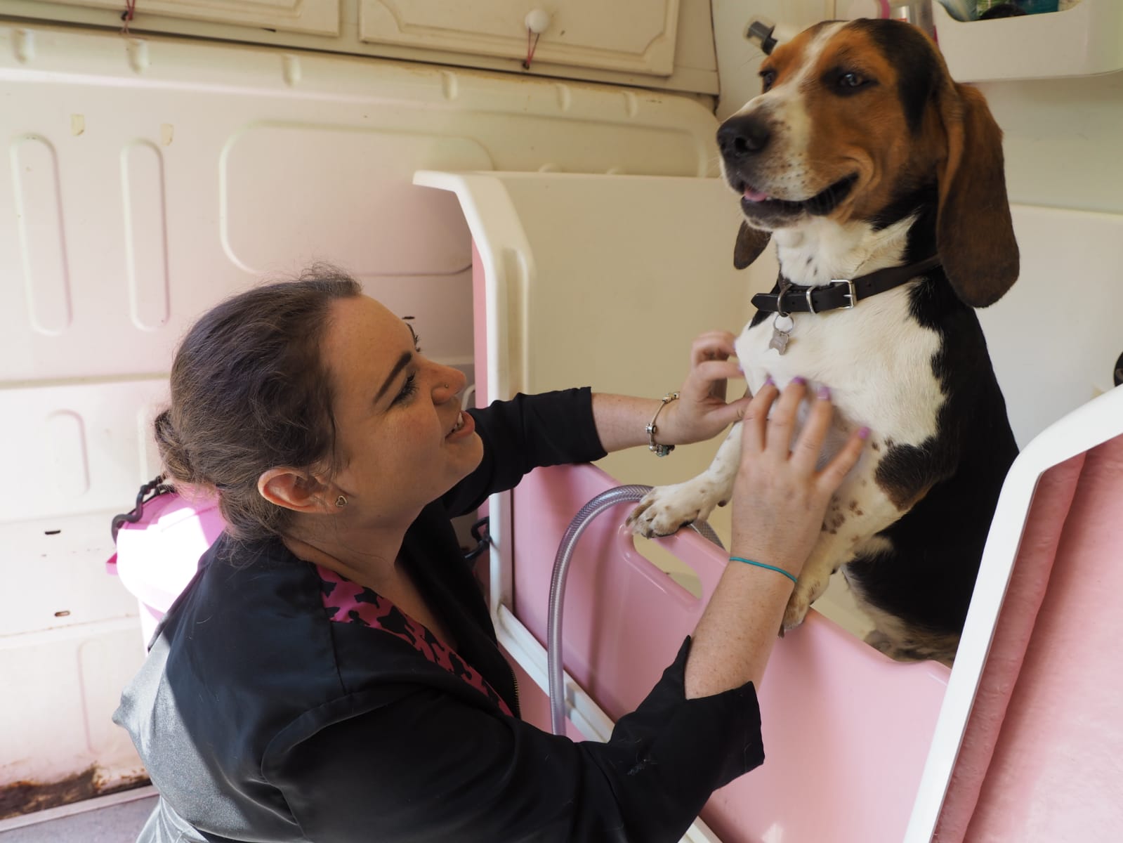 Sitting Pretty Dog Grooming
